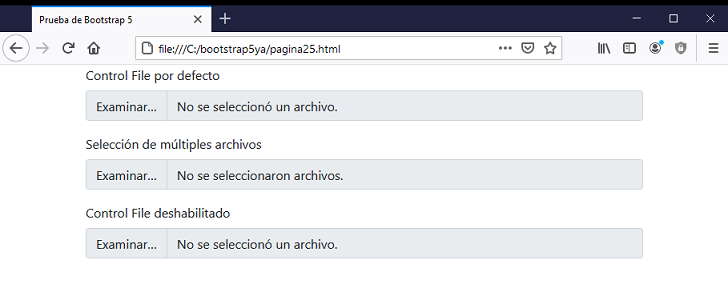 Form Control Input file 